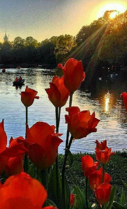 Chapitre 60 - Travailler dans l'esprit du Christ :: Anna Maria Hosta